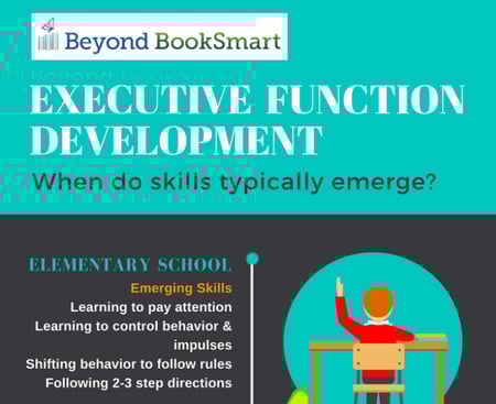 What Factors Influence Executive Function Development?