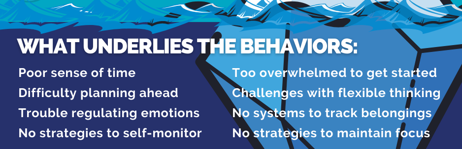 Is Executive Function the Missing Link to Your Kid's Success?