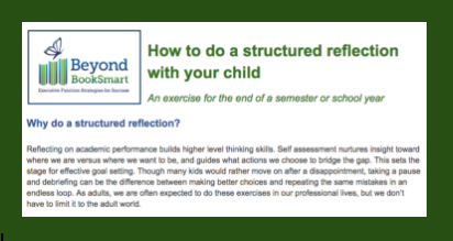 Structured Reflection Guide
