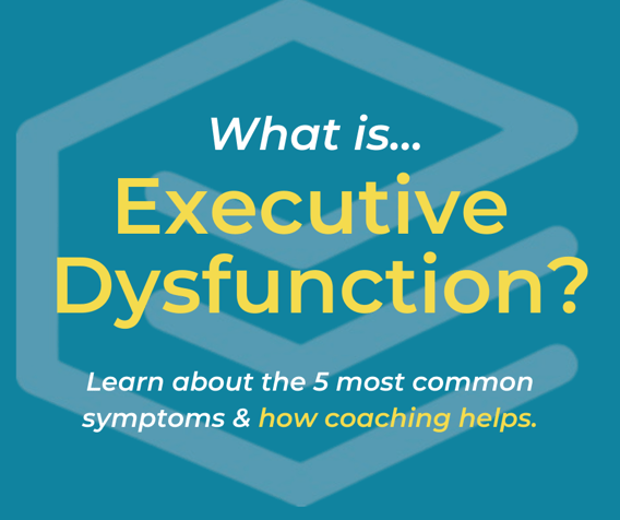 Why Do Gifted Students Often Struggle in School?