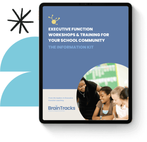 BrainTracks: Executive Function Coaching for Schools