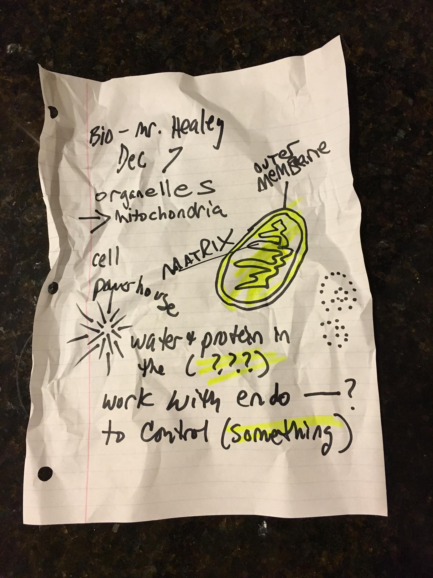 Working Memory: Take Note of Your Child’s Challenges